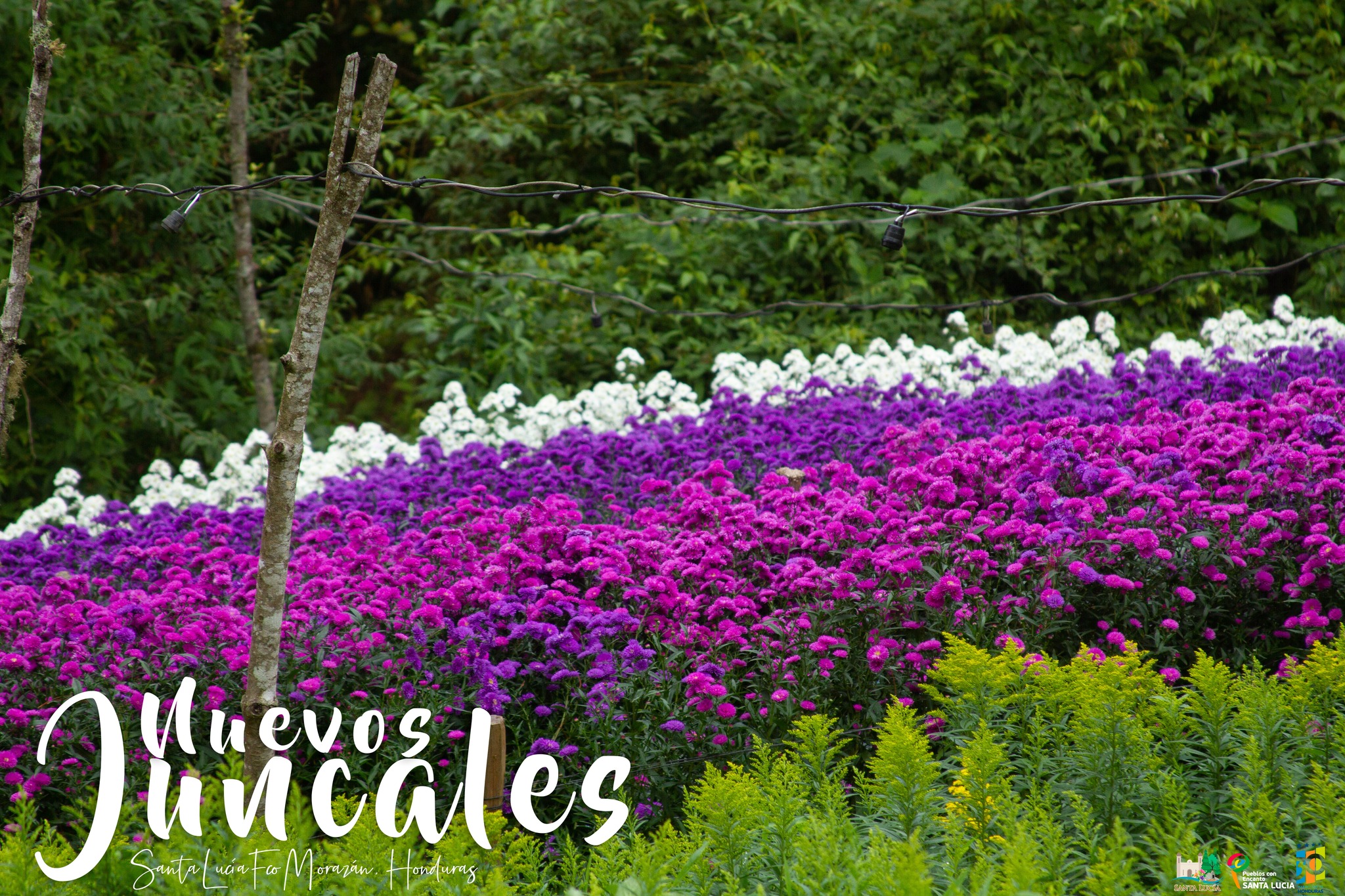ACTIVIDADES REALIZADAS EN EL FESTIVAL DE LAS FLORES EN EL MUNICIPIO DE SANTA LUCIA, FRANCISCO ...