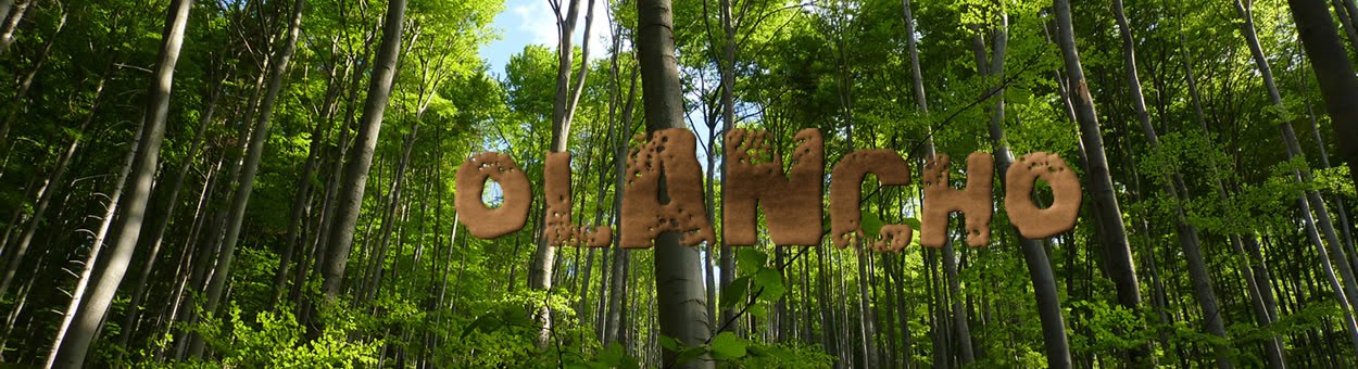 Olancho, un departamento con encanto turístico de Honduras ...