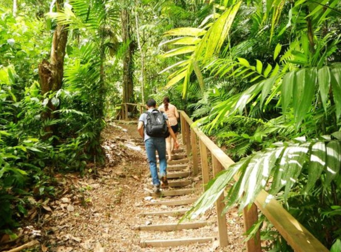 Parque Nacional Cerro Azul Meámbar Hondurasensusmanos Ferias Eventos