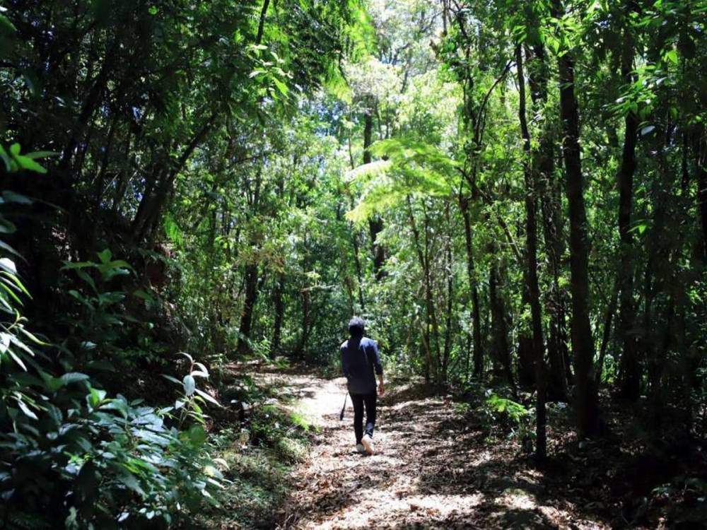 Parque Nacional La Tigra, una opción maravillosa para hacer senderismo ...